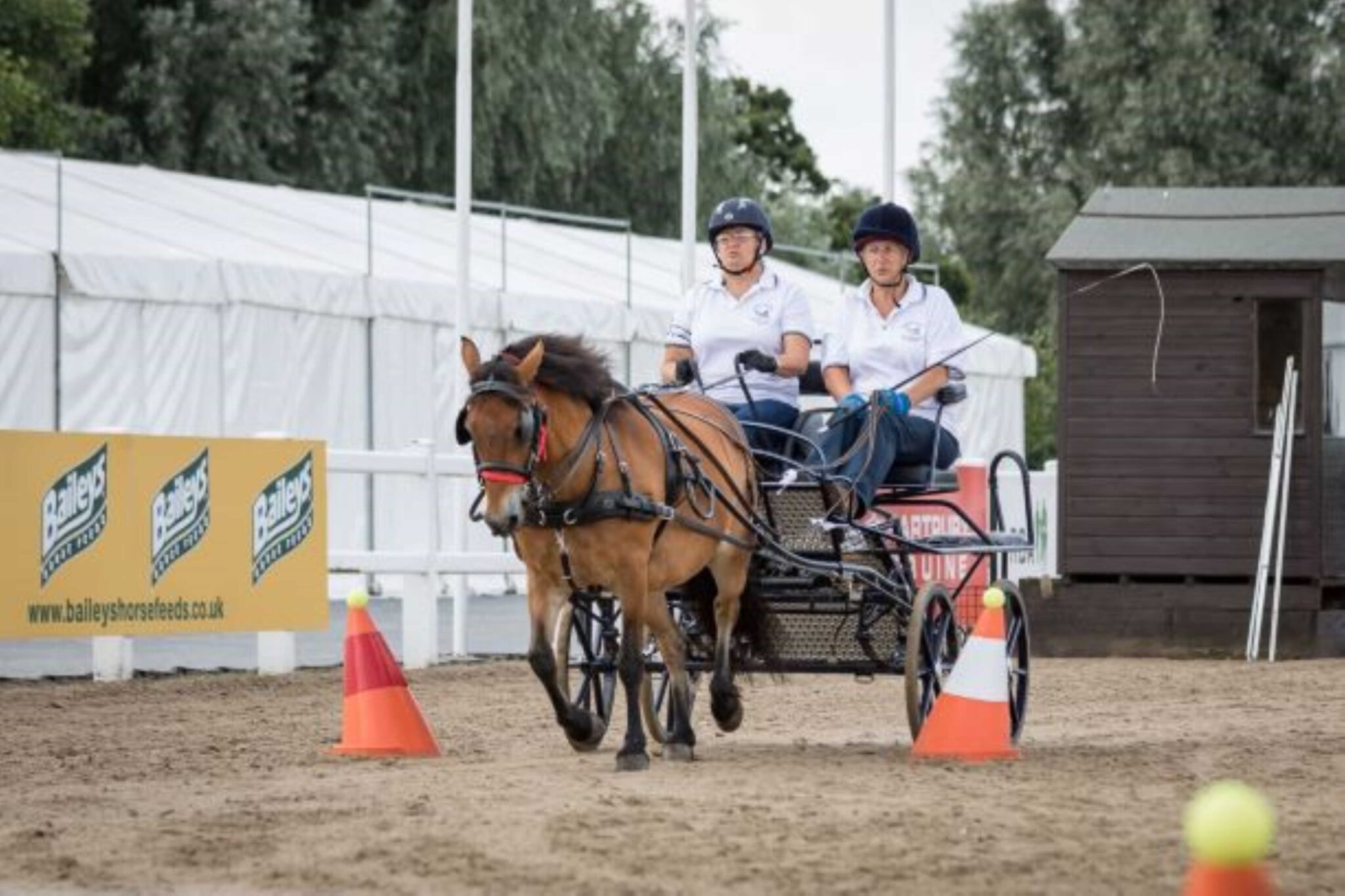 Carriage Driving carriage-driving