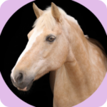 Riding for the Disabled Association (RDA) — A UK charity dedicated to ...